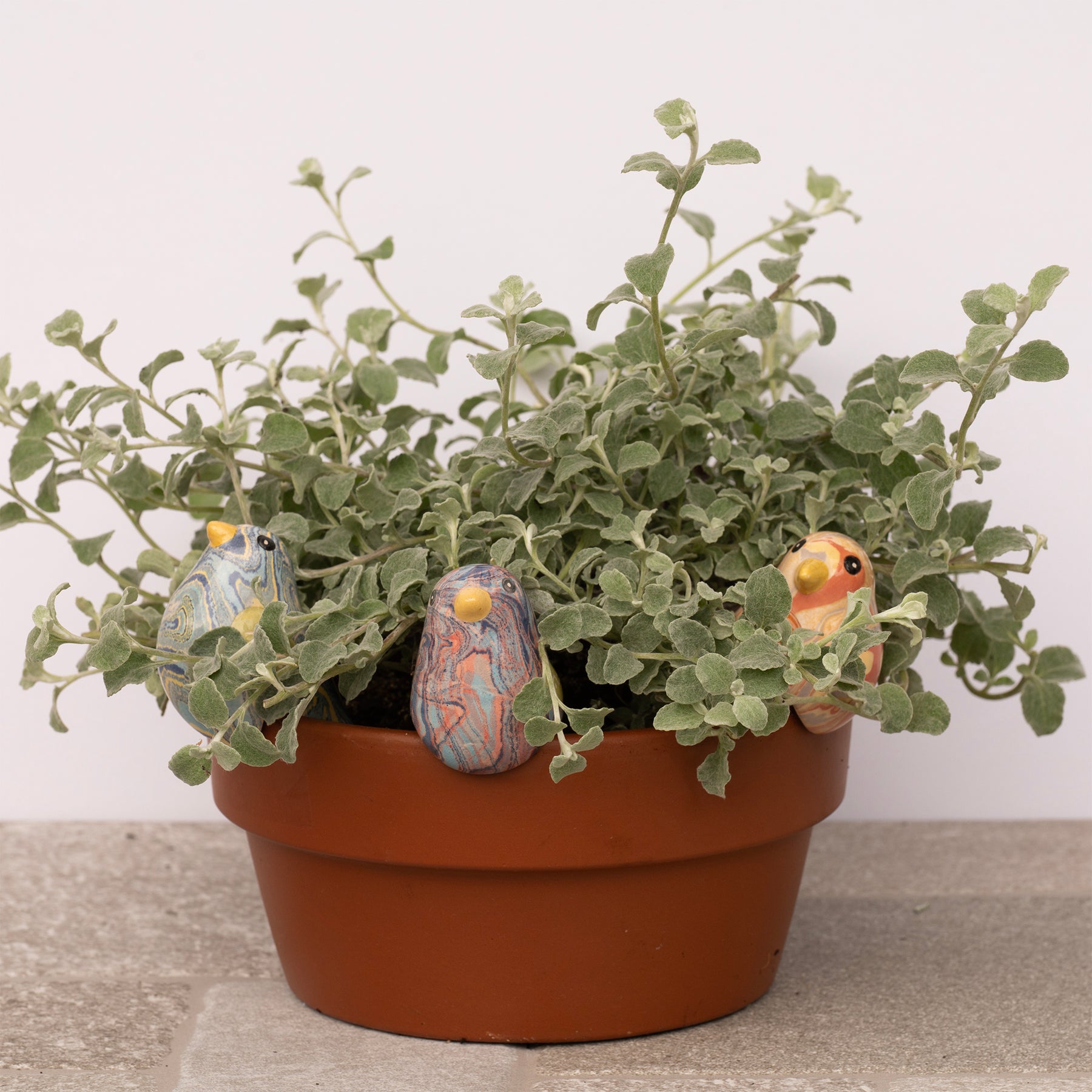 Fair Trade Bird - Swirled Pot Hugger by Lucuma Designs